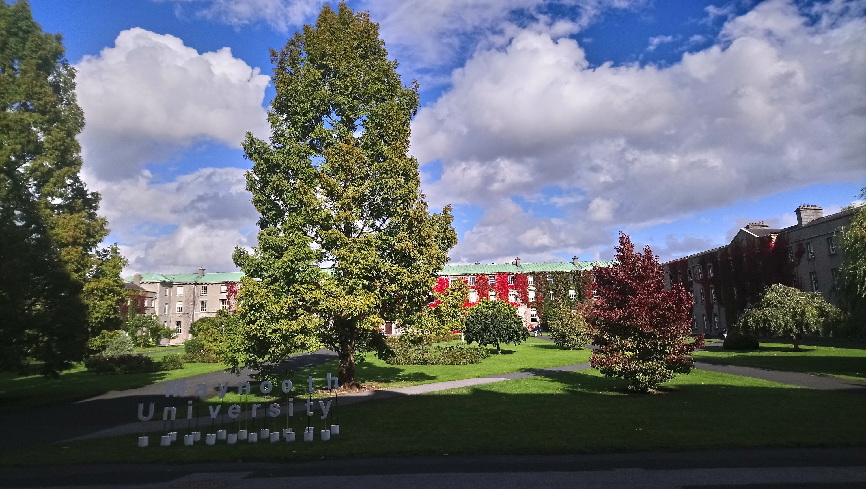 Autumn in Maynooth | In the Dark
